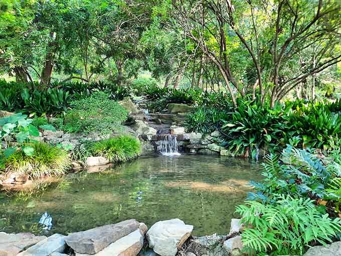 Waterfalls and ferns create a scene so peaceful, your blood pressure drops just looking at this view.