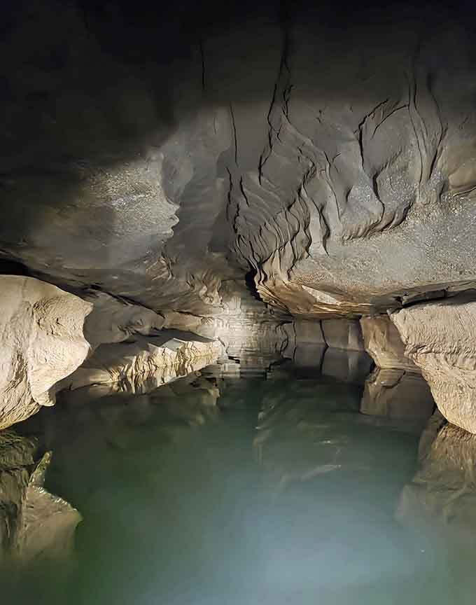 Crystal-clear waters reveal depths that host creatures found nowhere else on Earth, evolution's secret laboratory.