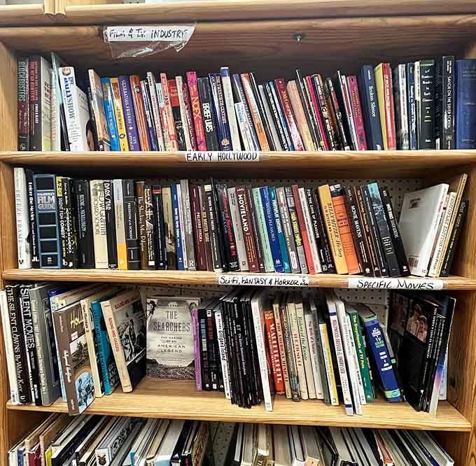 Film and TV industry books cater to aspiring screenwriters and Hollywood dreamers seeking insider knowledge and inspiration.