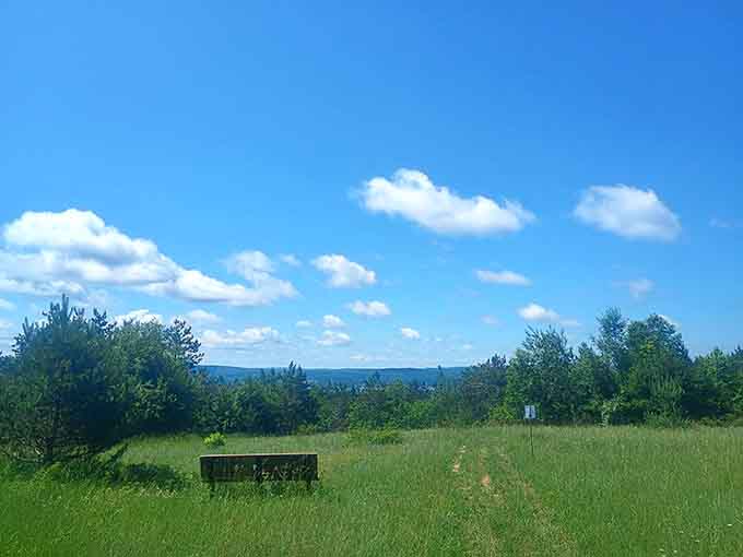 Rolling hills and open skies that stretch forever, reminding you Michigan has way more than just lakes.