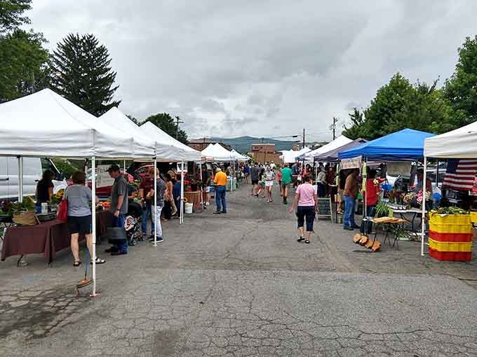 Farmers markets where "farm to table" isn't a buzzword, just Thursday morning in downtown Brevard.