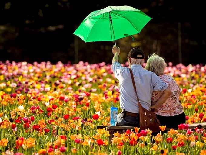 When the flowers are so beautiful that even a green umbrella can't distract from the spectacular view.