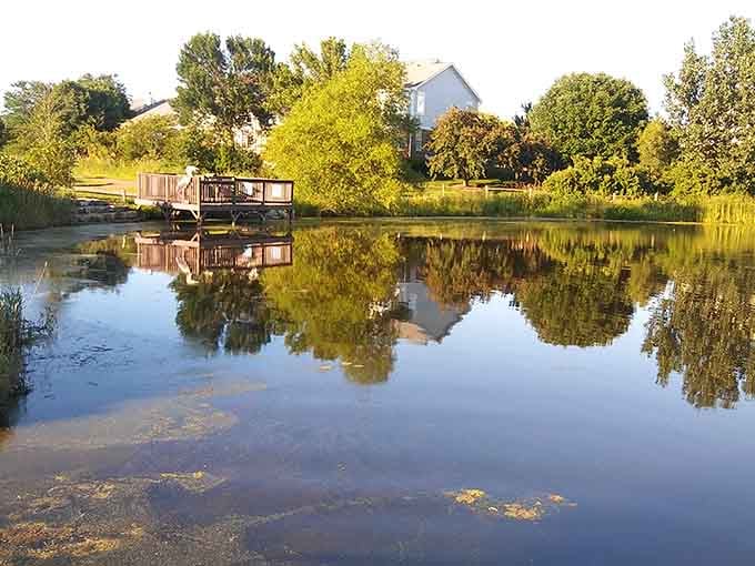 A peaceful pond that offers scenic views and the perfect backdrop for those contemplative parenting moments you desperately need.