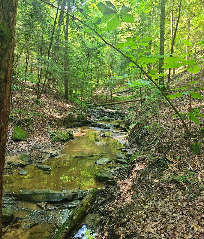 Following Caney Creek upstream is like following breadcrumbs to a very wet, very beautiful treasure.