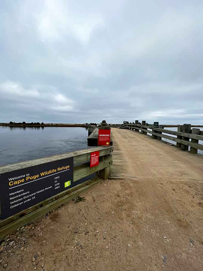 The entrance bridge welcomes visitors with official signage, like crossing into a different world where nature writes all the rules.