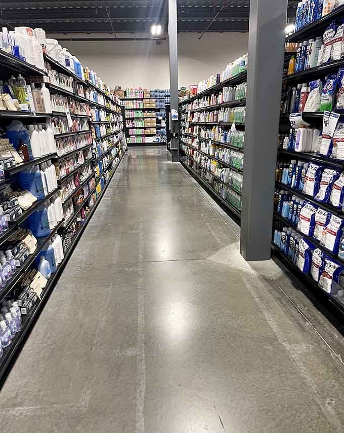 Beauty and personal care products lining shelves in organized rows, making self-care affordable instead of aspirational.