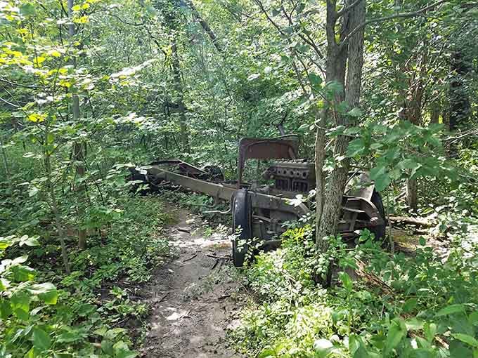 Old machinery reclaimed by the forest: a reminder that nature always gets the last word, eventually and beautifully.