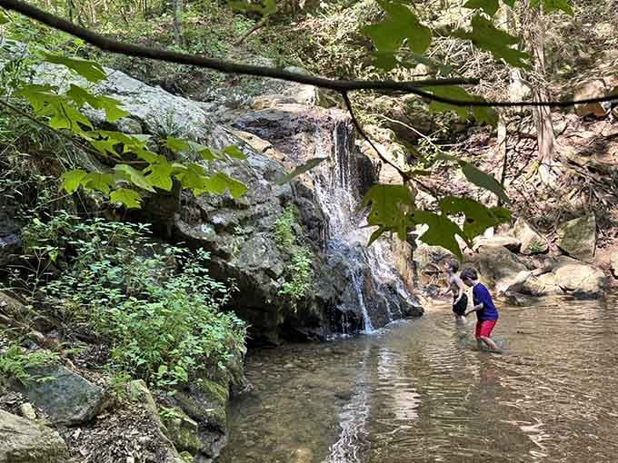 Kids wade in shallow pools below the falls, discovering that nature provides better entertainment than any tablet.