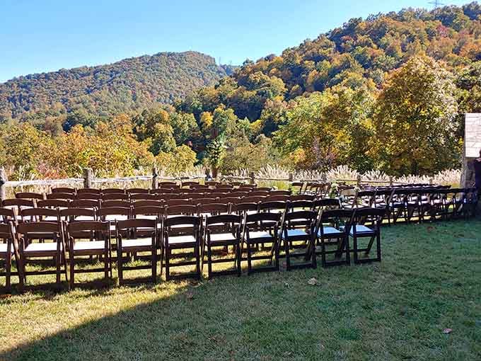 An outdoor ceremony space where nature provides the cathedral and mountains serve as witnesses perfectly.