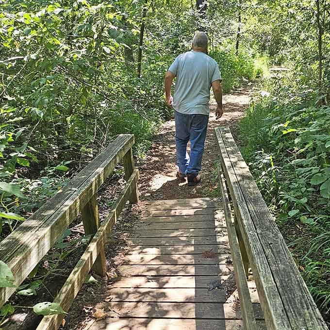 Wooden footbridges guide you deeper into the forest, each step bringing you closer to that childhood sense of discovery.