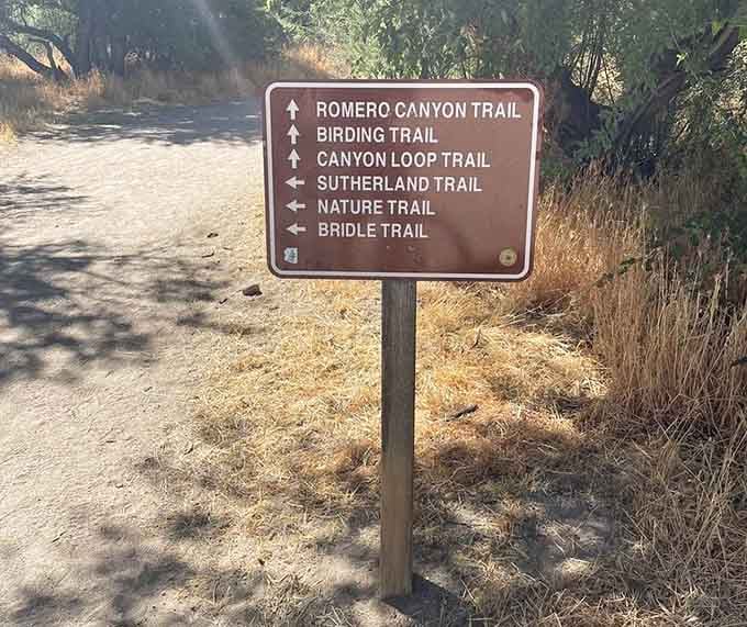 Multiple trails mean multiple adventures, and this helpful sign ensures you won't accidentally end up on Mount Lemmon.
