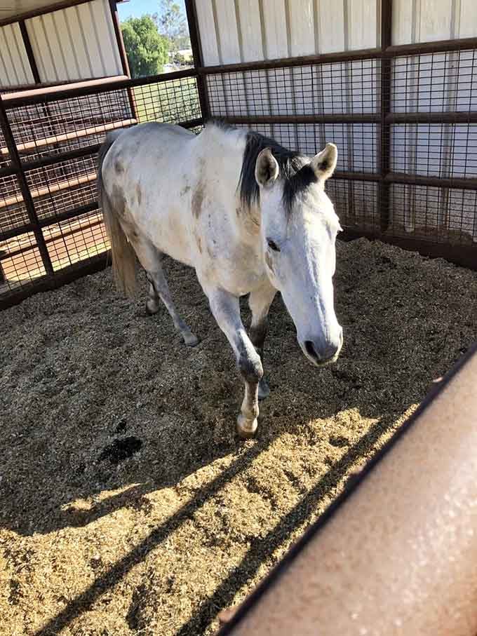 Meet one of the resident champions who inspired the wines you're enjoying on the patio today.