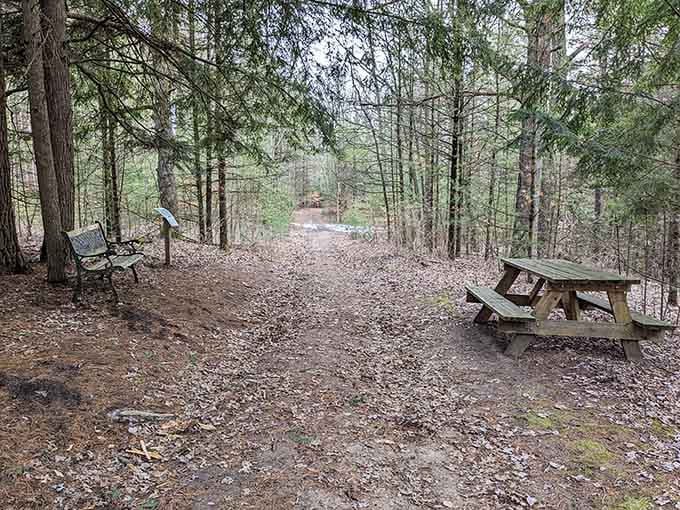 Picnic tables positioned perfectly for contemplating life's mysteries while eating sandwiches in peaceful solitude.