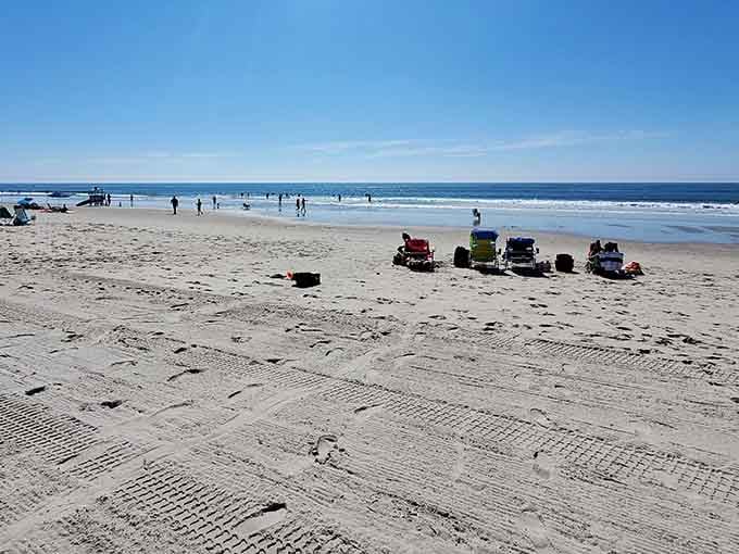 Wide open beaches with actual elbow room prove that New Jersey still has spaces where crowds fear to tread.