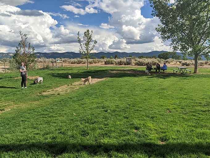 The dog park where your furry companion makes friends faster than you did in your old subdivision.