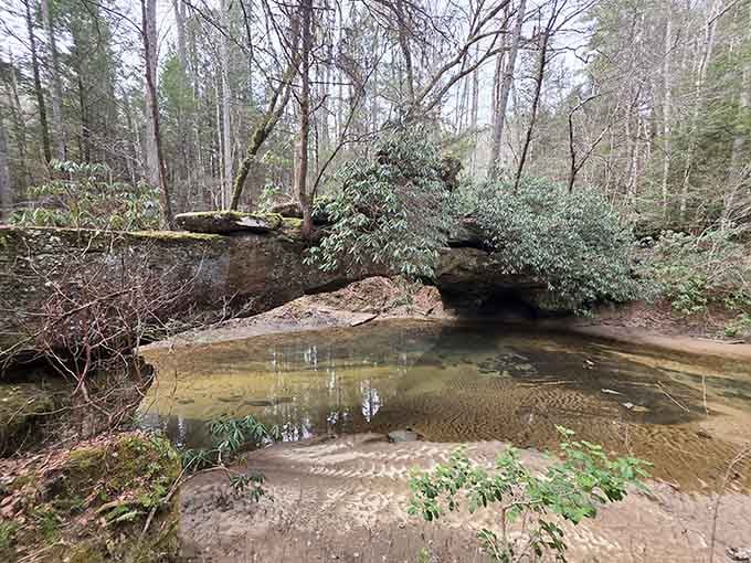 A sandstone archway that's been here for millennia, patiently waiting for you to finally visit Kentucky's backyard.