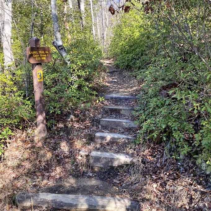 Trail markers guide hikers through the wilderness, because getting lost is only fun in the metaphorical sense of things.