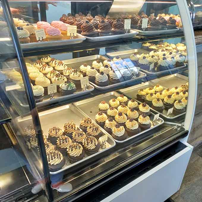 Rows of gorgeous cupcakes waiting in that display case, each one practically begging to come home.