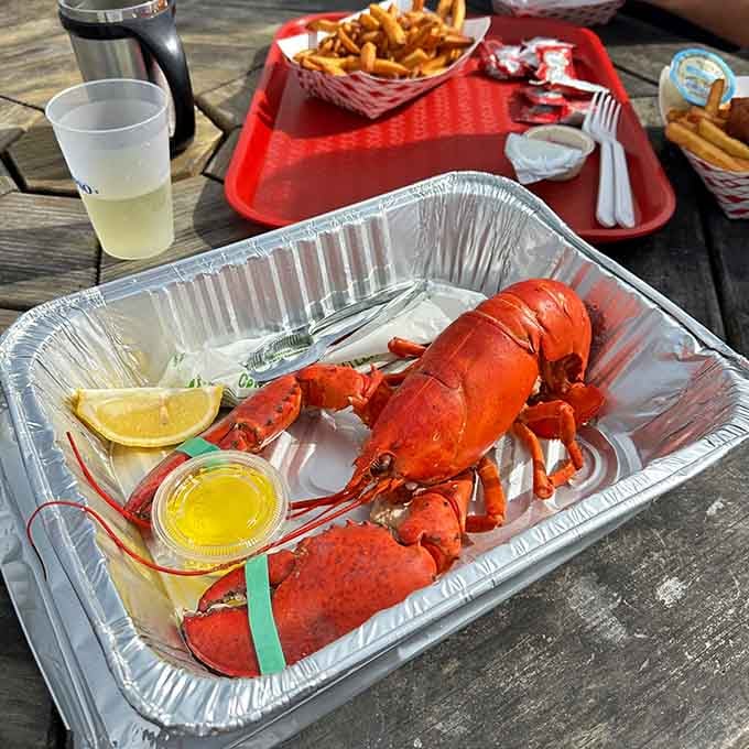 Fresh lobster in a tin pan tastes better when you're eating it on an island.