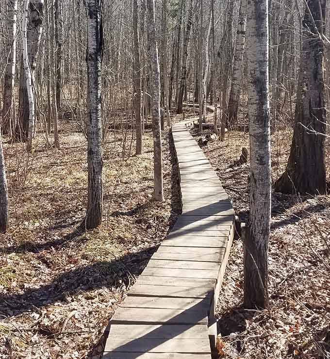 The boardwalk trail leading here proves Minnesota knows how to treat its hikers right.