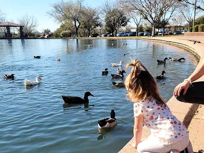 Local ducks have claimed squatter's rights on the pond, providing free entertainment between train departures.