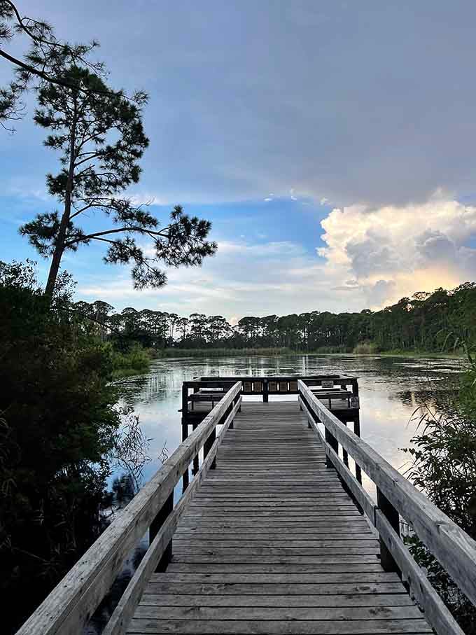 Peaceful lake boardwalks where the only traffic jam involves ducks and the occasional determined turtle.