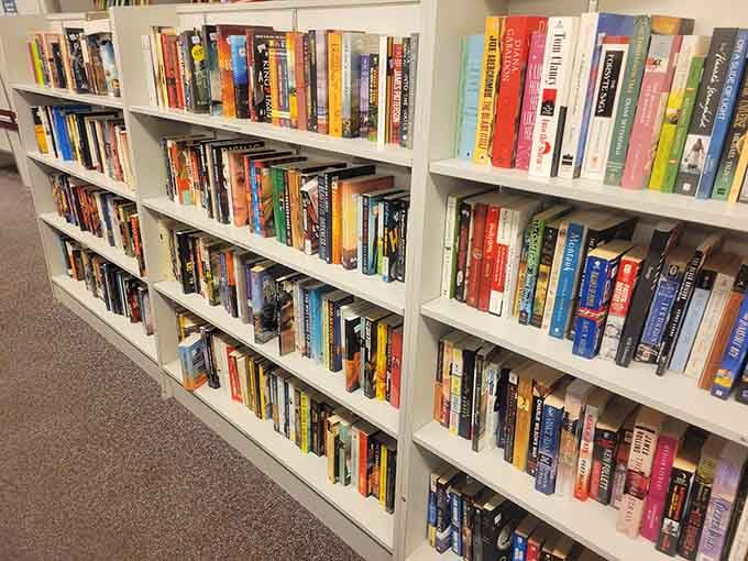Books line the shelves like a library where everything's for sale and late fees don't exist.