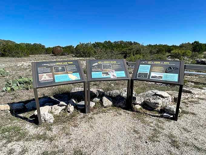Educational displays that actually make geology interesting, which is saying something for those of us who slept through earth science.