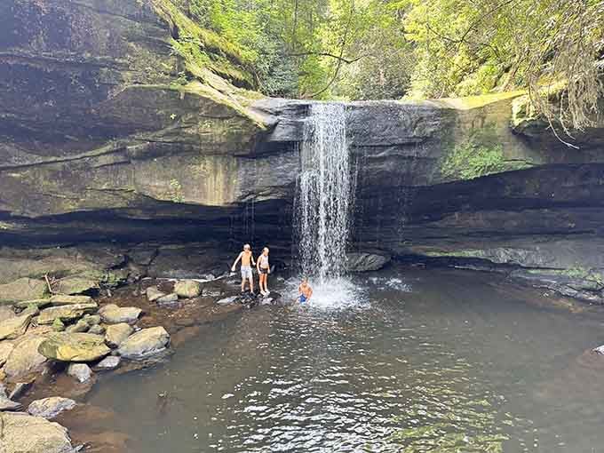 Summer days at the swimming hole where the water's cold enough to make you yelp with joy.