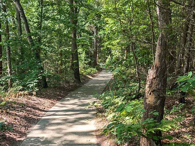 A peaceful path through the forest where your only companions are birdsong and dappled sunlight.
