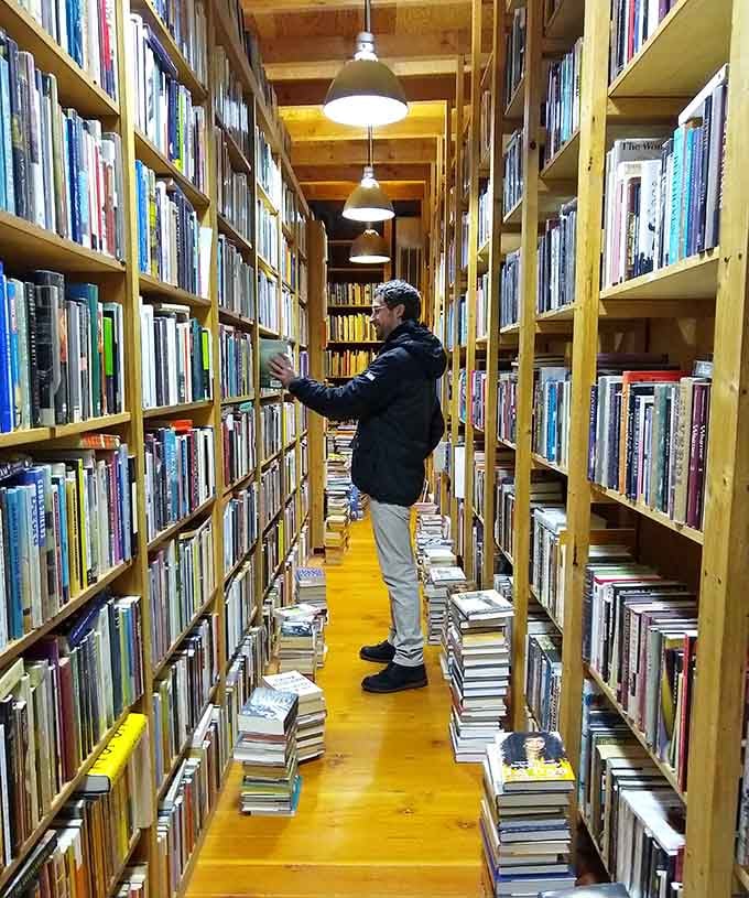 Lost in the stacks, this browser has found paradise between pages and probably won't emerge until closing.