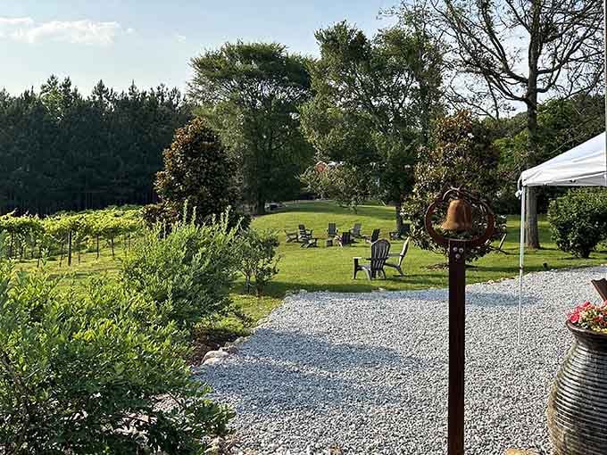 Blue Cielo Farms offers vineyard views and local wines where sophistication meets genuine Southern hospitality beautifully.