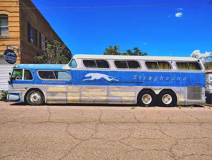 That Scenicruiser bus stretches longer than some studio apartments and probably rode smoother than your last cross-country flight too.