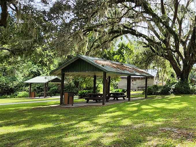 Covered picnic pavilions offer shaded spots to refuel after your hike through North Florida's hidden forest gem.