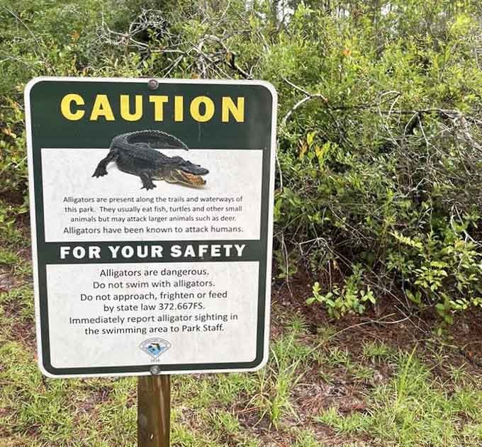 Alligator warnings remind you this is still Florida, where wildlife doesn't care about your vacation photography plans.