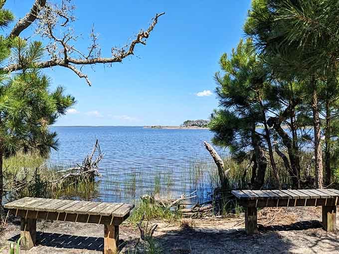 Contemplation benches overlooking Back Bay, because even adventurers need a moment to just sit and breathe.