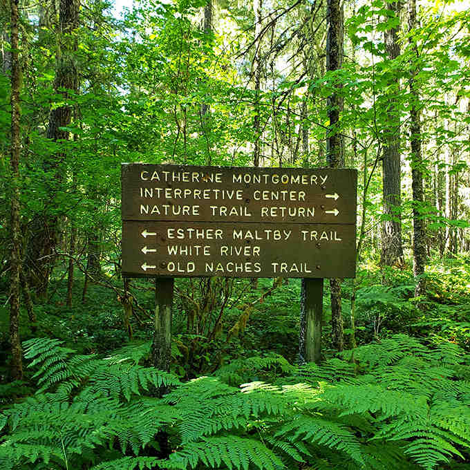 Multiple trails mean multiple adventures, because one walk through paradise is never quite enough for anyone.