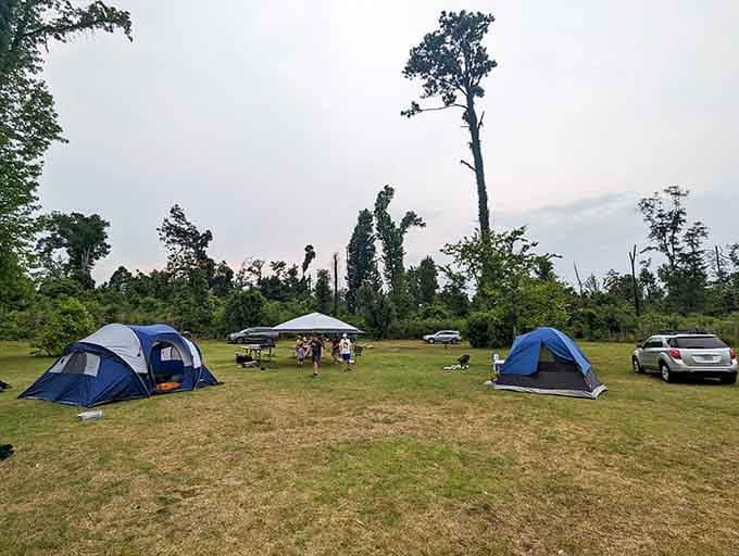Camping here feels like stepping into a different Florida, where trees outnumber theme parks and peace reigns supreme.