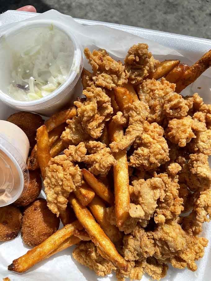 Fried gator bites with fries because sometimes you need to walk on the wild side, even if it's just at lunch.