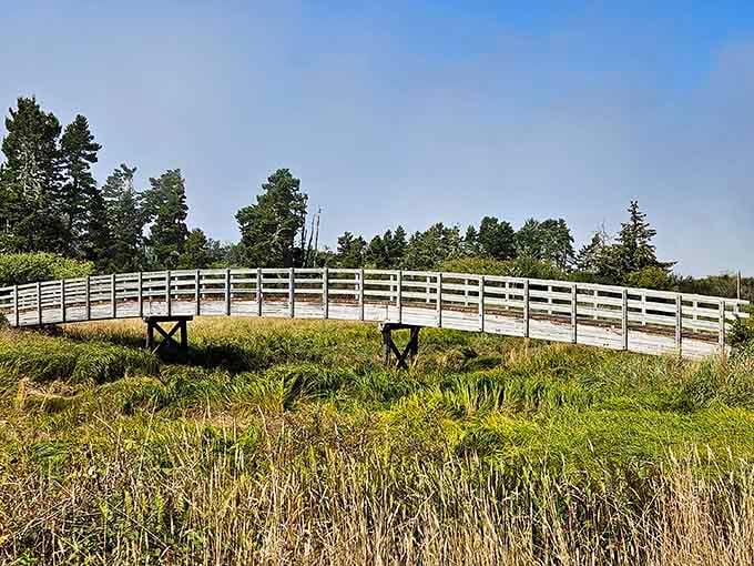 Wooden bridges arch gracefully over wetlands, connecting trails and eras with simple, functional elegance that just works perfectly.