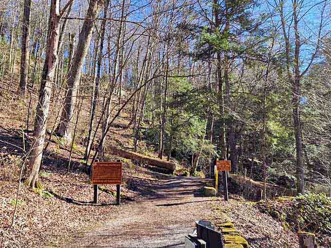 The trailhead welcomes you to an adventure that's worth every step you're about to take.