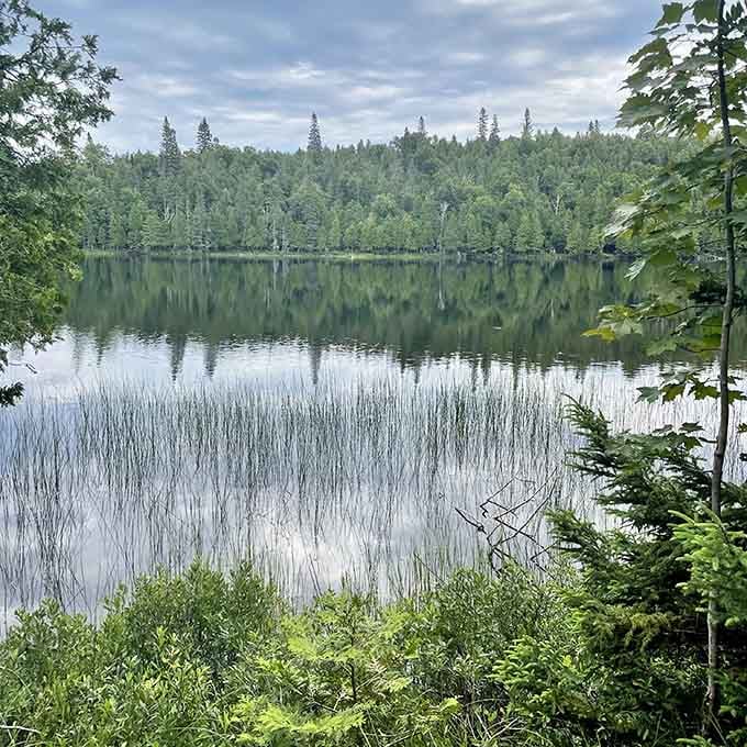 Bensen Lake sits perfectly still, reflecting the surrounding forest like nature's own meditation pool.