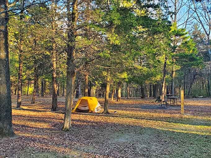 That yellow tent glows like a beacon in the golden hour light, promising s'mores and stories under starlit skies.
