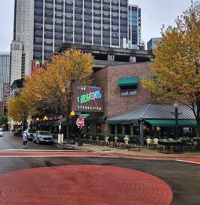 The corner location on Rush Street makes Gibsons an unmistakable Gold Coast landmark worth seeking out.