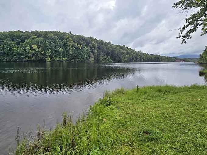 Waterfront tranquility where the only traffic you'll encounter involves ducks arguing over territorial rights to the shoreline.
