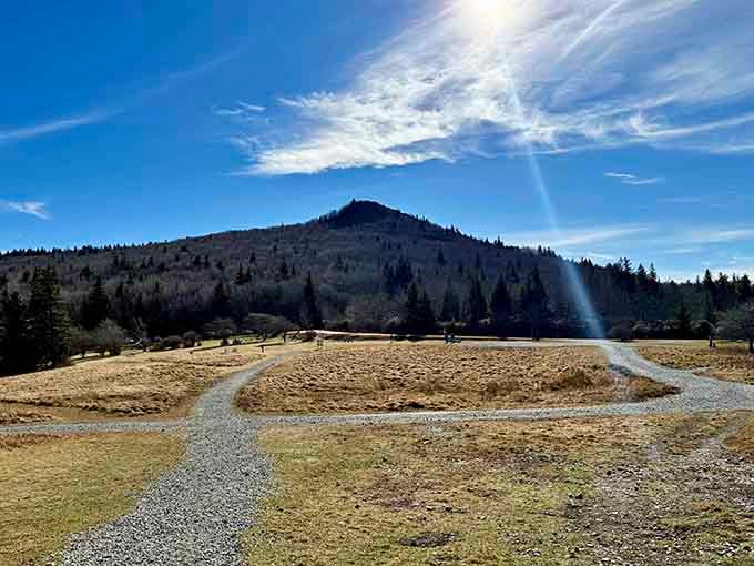 Wide-open trails crossing the highlands where the only traffic jam involves waiting for ponies to finish their photo session.