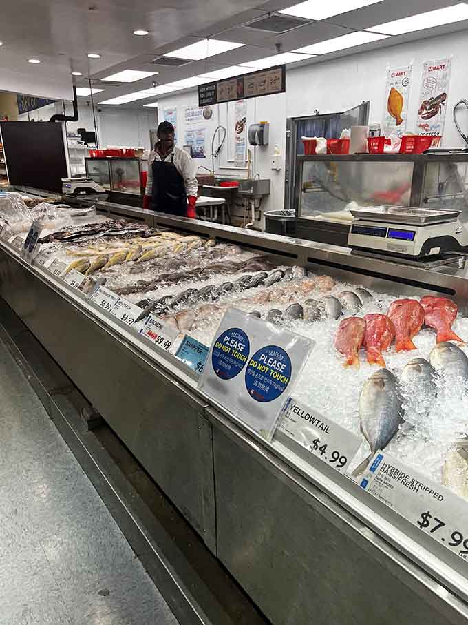 The seafood counter gleams with fresh catches on ice, attended by experts who know their fish like old friends.