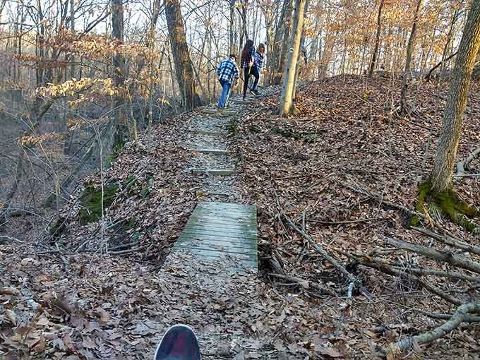 Wooden steps help visitors navigate the terrain safely while keeping the natural landscape intact and pristine overall.
