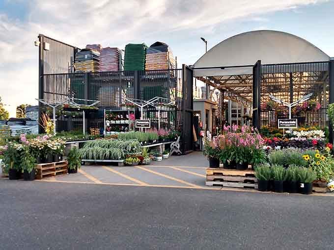 Even practical errands feel different when you're shopping on an island surrounded by mountain views and water.