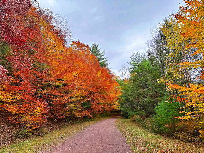 Fall foliage creates a tunnel of fire-colored leaves, nature's own red carpet rolled out for your hiking pleasure.